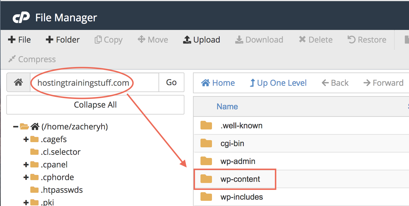 Uploading Wordpress Theme Through File Manager Hostmight Support